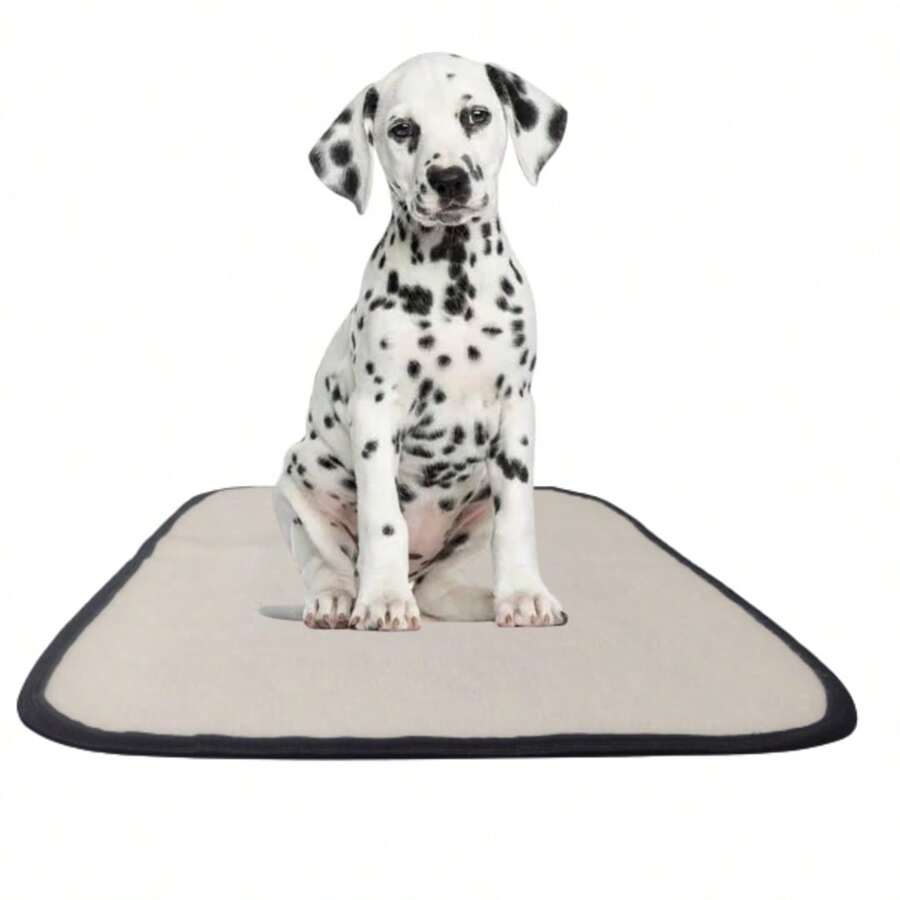 Washable Hygienic Mat For PP Dogs, Size 50 X 40cm, Does Not Leak Pee ...