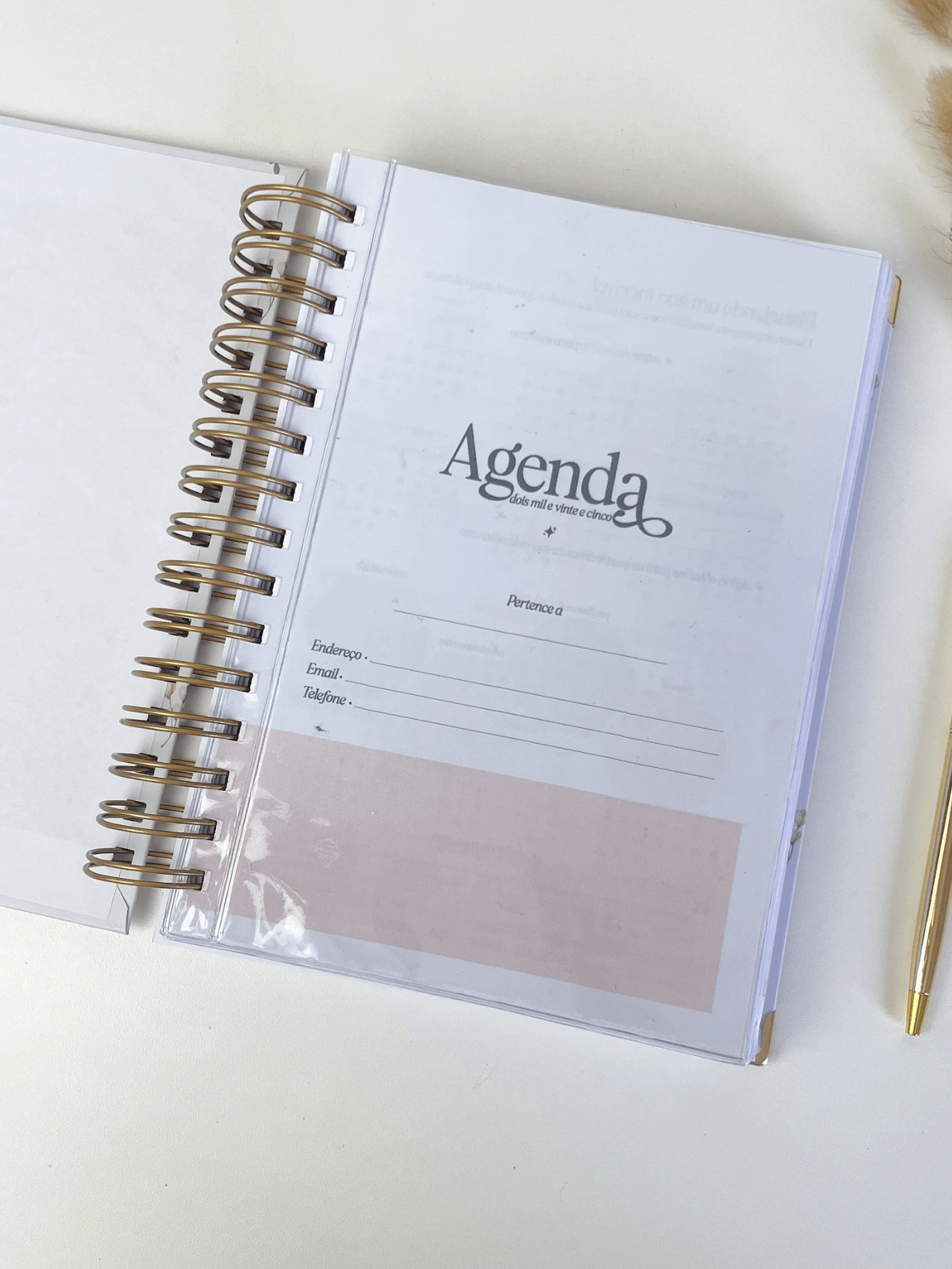 Agenda Personalizada - 2025 (1Dpp) | Abstrato | SHEIN Brasil