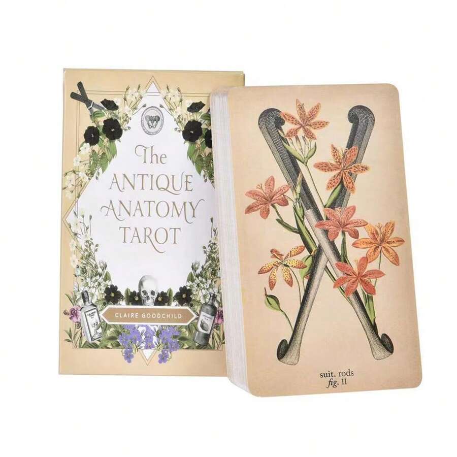 The Antique Anatomy Tarot Cards, Fortune Telling Tarot Card Games For ...