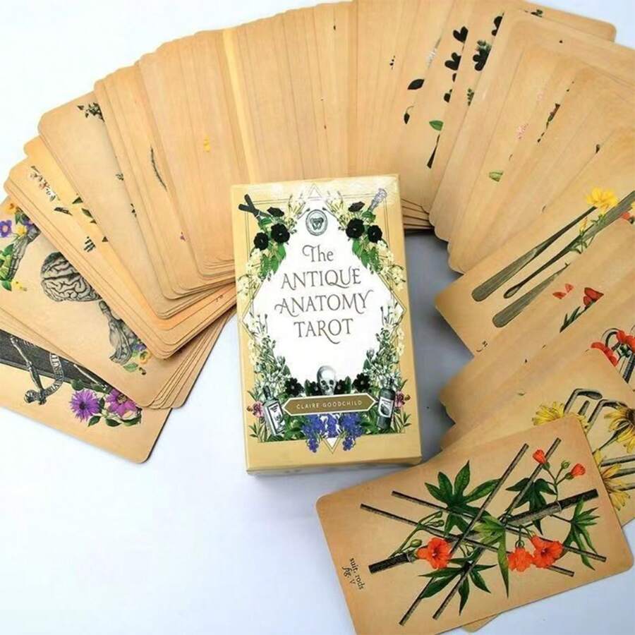 The Antique Anatomy Tarot Cards, Fortune Telling Tarot Card Games For ...