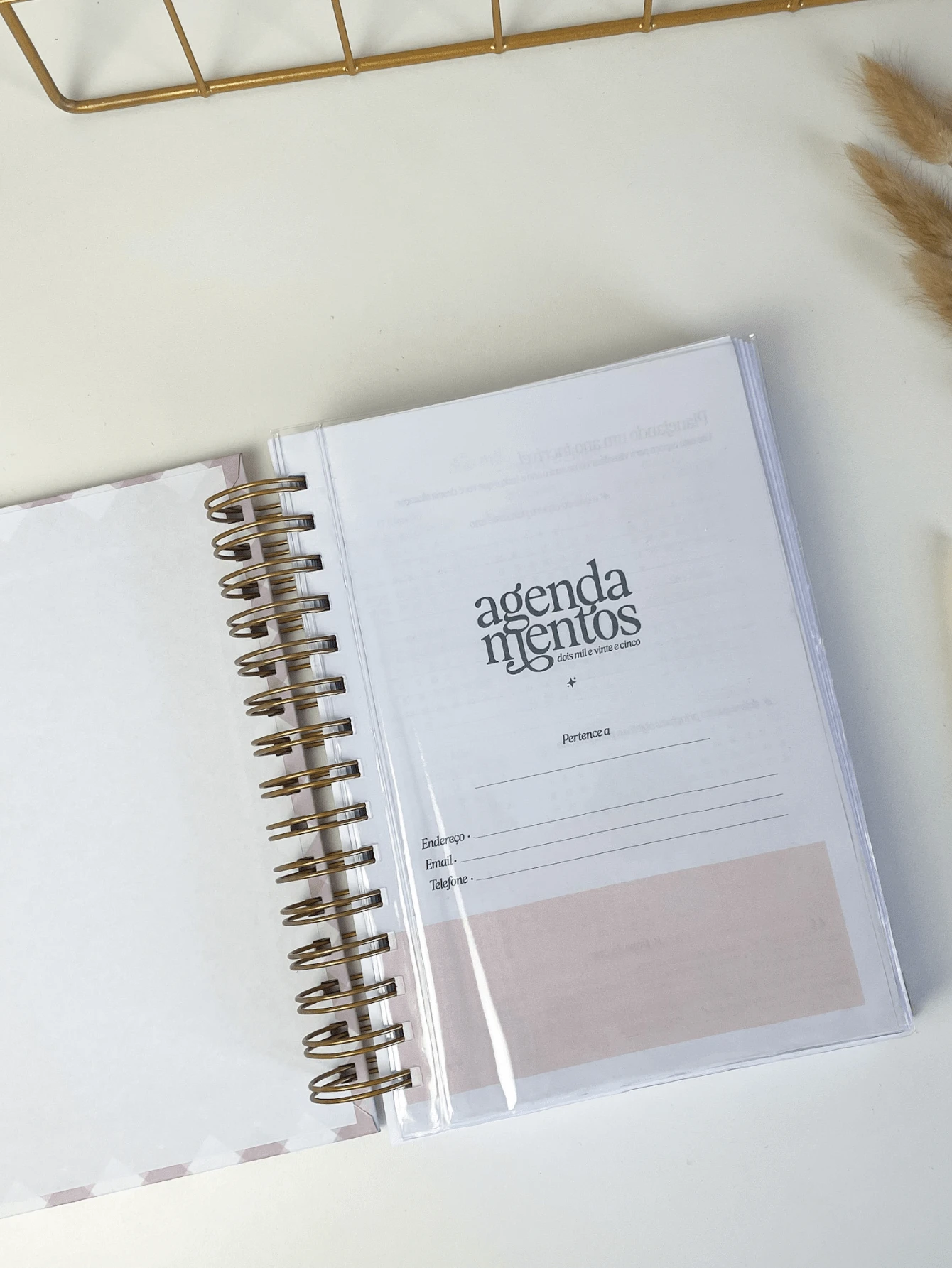 Agenda Personalizada de Agendamentos - 2025 | Xadrez | SHEIN Brasil