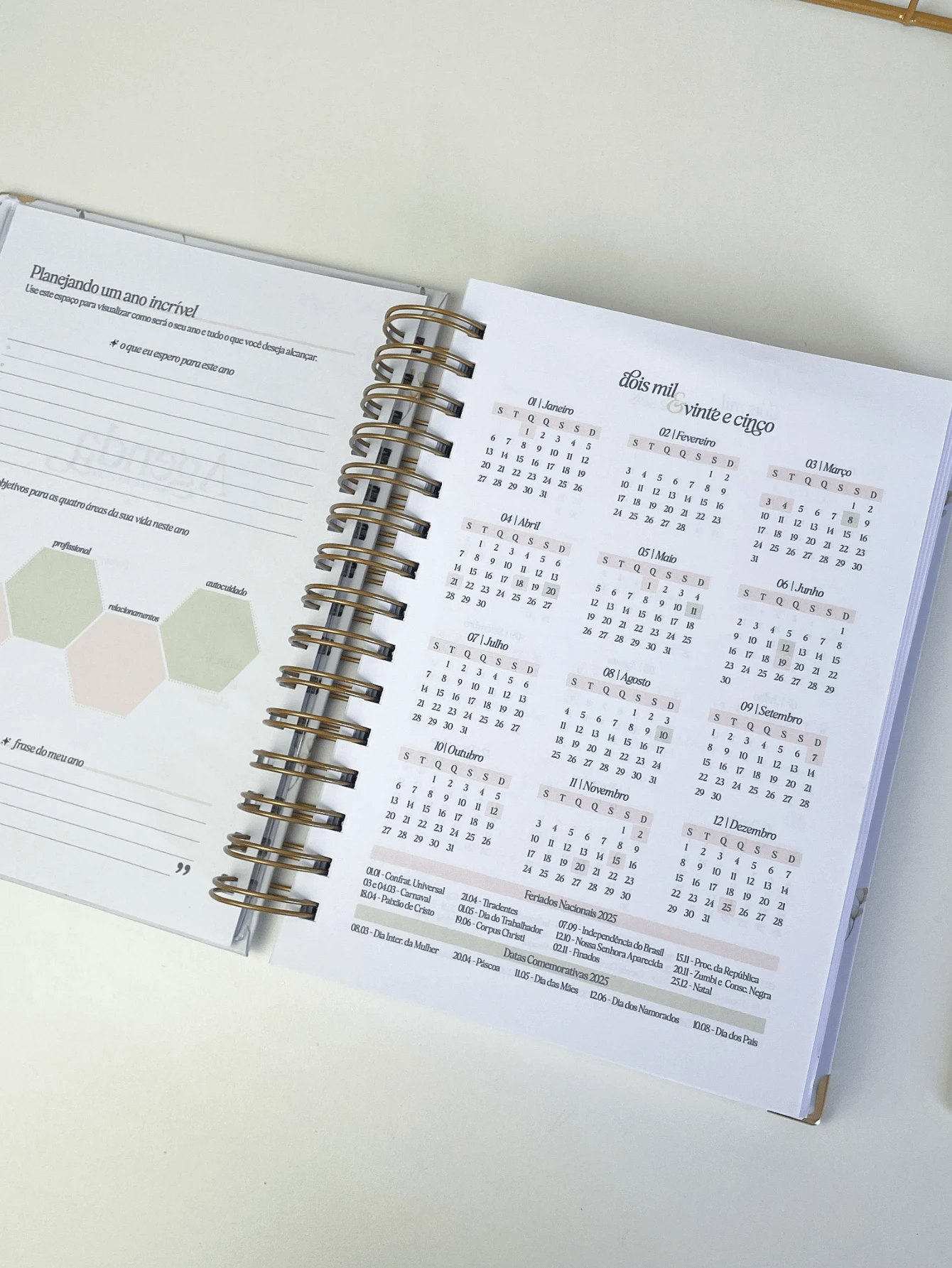 Agenda Personalizada de Agendamentos - 2025 | Xadrez | SHEIN Brasil
