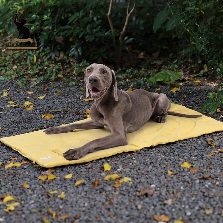 Foldable Pet Dog Diaper Mat Waterproof Training Pad Urine Absorbent ...