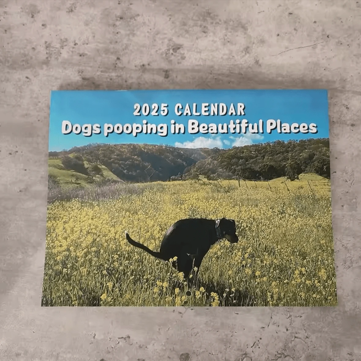Durable Daily Weekly Monthly Planner 2025 Calendar Dogs Pooping ...