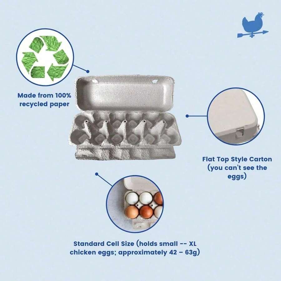 Blank 12-Egg Flat Top Paper Pulp Carton | SHEIN USA