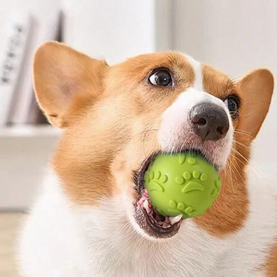 Pet Toys Paw-Shaped Chew Ball, Durable Tooth-Grinding Sound Paw Print ...