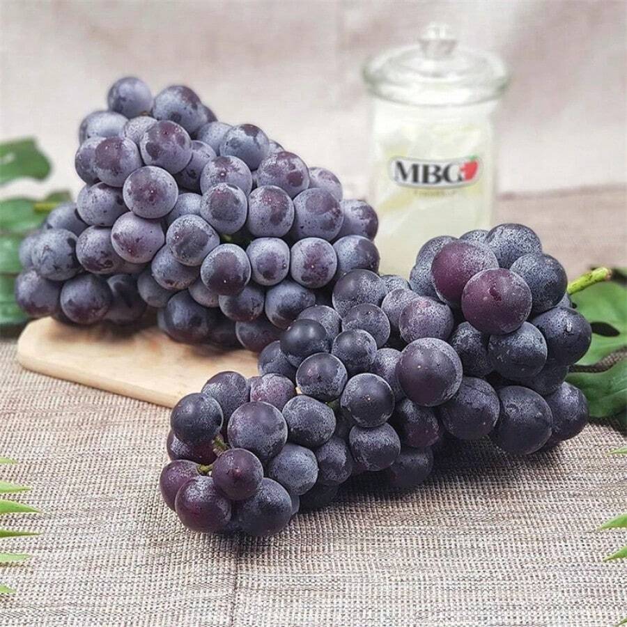 GARDEN Kyoho Grapes Seed 100 Seeds Sweet Grape Fruit Popular Variety ...