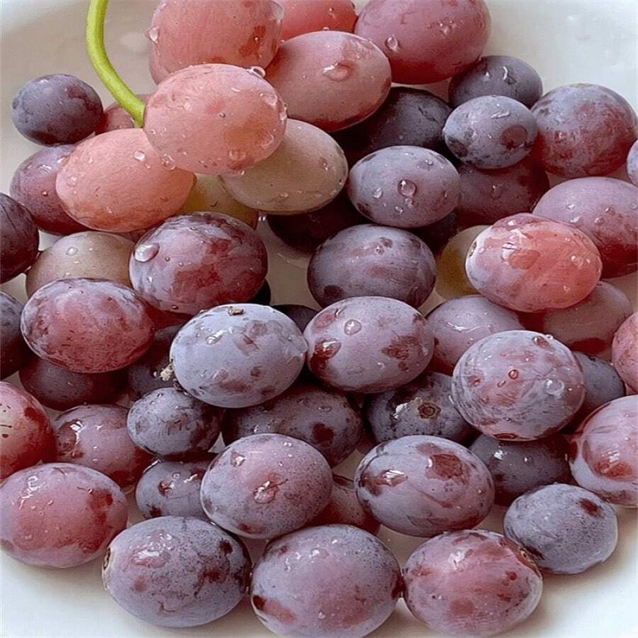 GARDEN Kyoho Grapes Seed 100 Seeds Sweet Grape Fruit Popular Variety ...