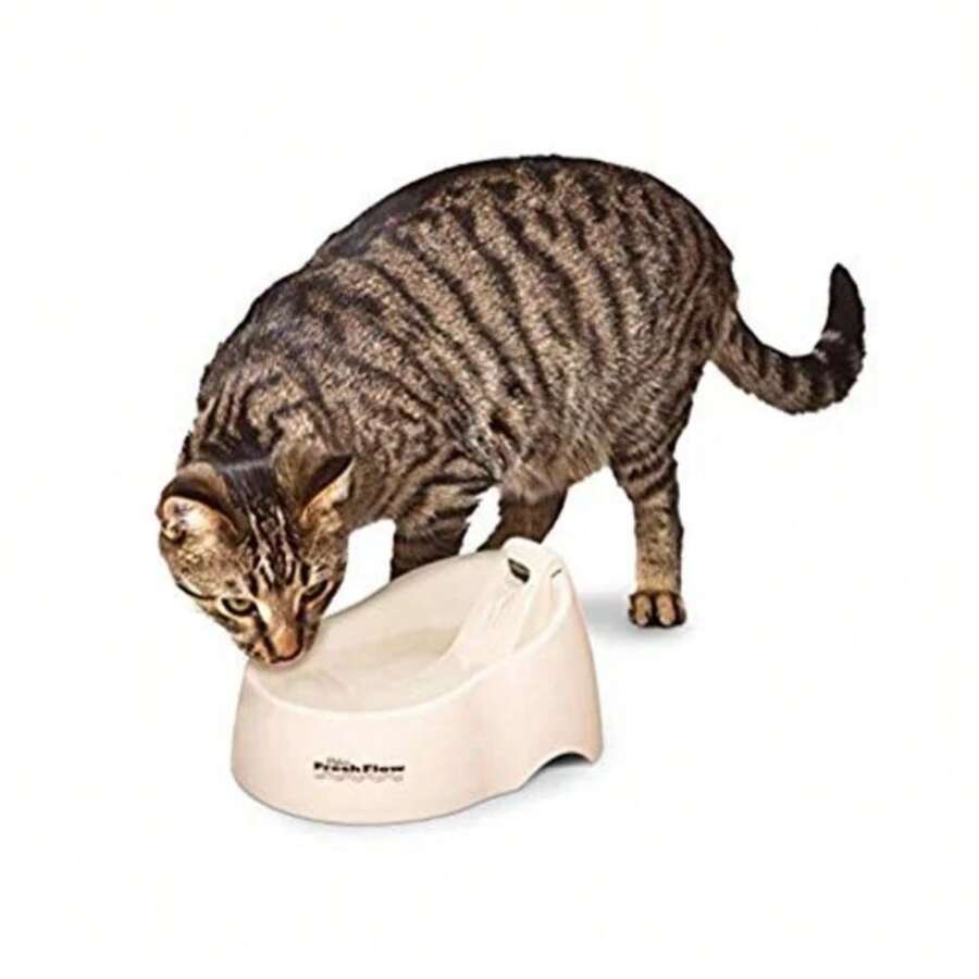 Deluxe Fresh Flow Cat And Dog Purifying Water Fountain For Pets, 50 Oz ...