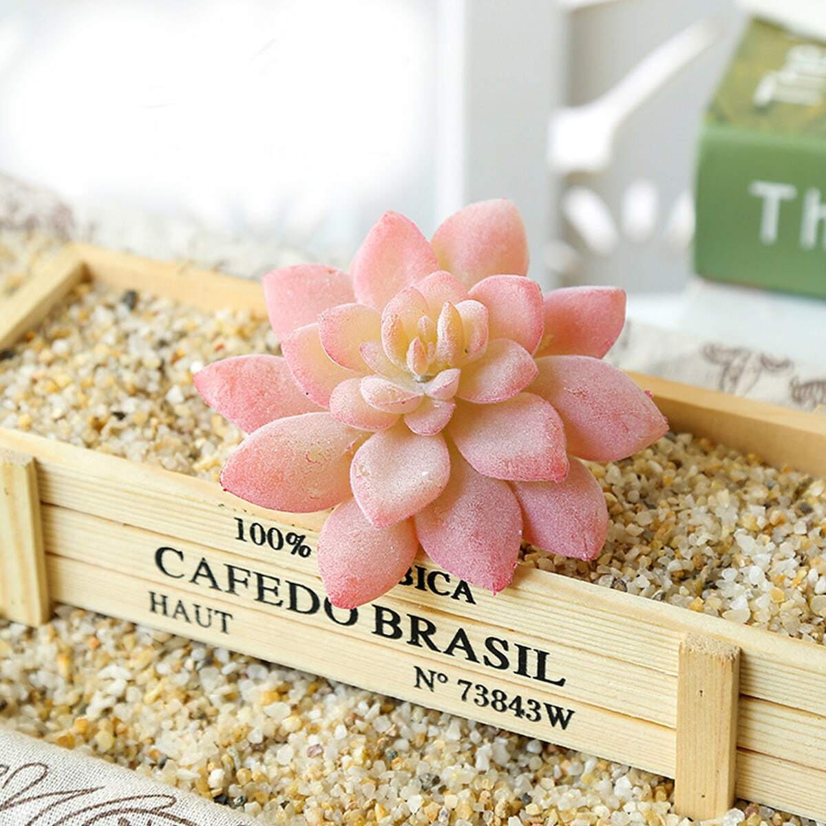1/10 PIEZAS Plantas suculentas simuladas, accesorios creativos DIY ...