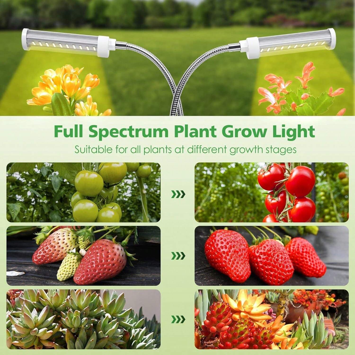 Adjustable Height LED Grow Light With Auto Timer - Full Spectrum, 4 ...
