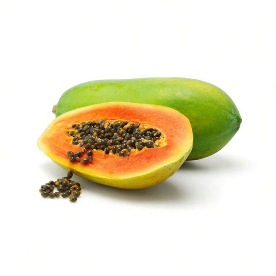 10 Dwarf Papaya, Heirloom Non-GMO, High Germination Rate, Strong ...
