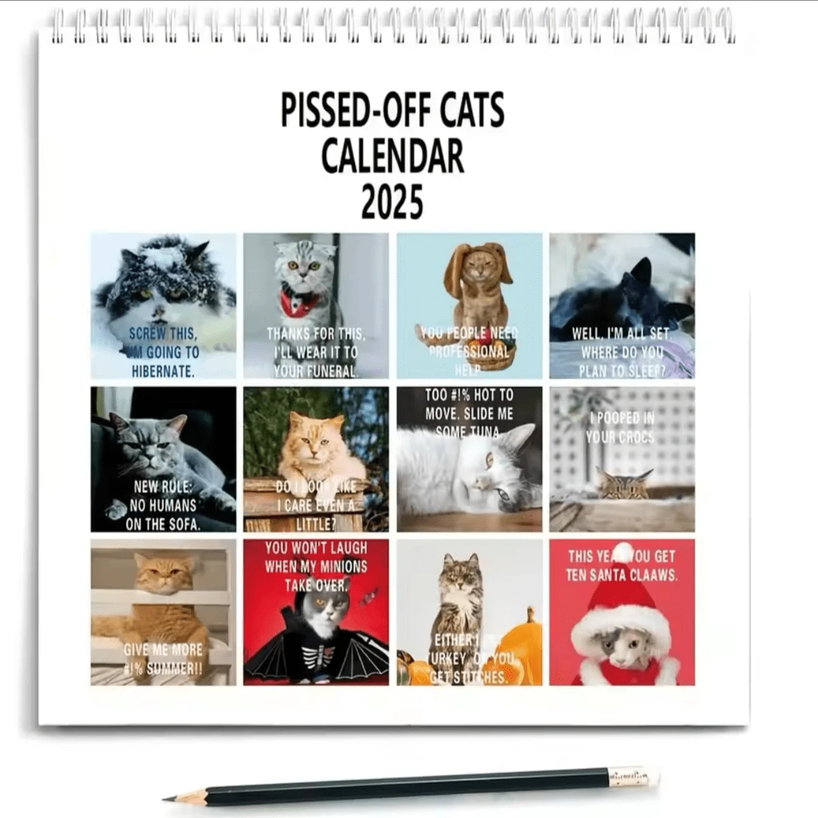 2025 Pissed-Off Cats Calendar - 12-Month Wall Calendar For Cat Lovers ...