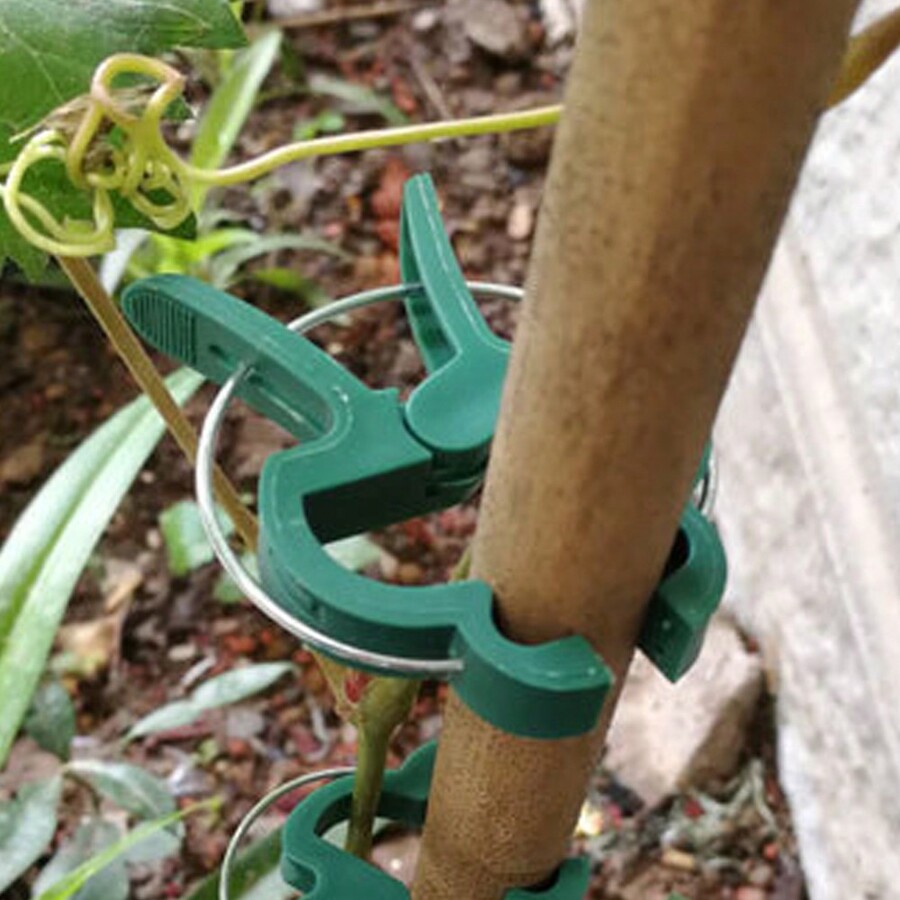 Plant Fixed Clips Reusable Garden Greenhouse Bracket For Fixed Plants ...