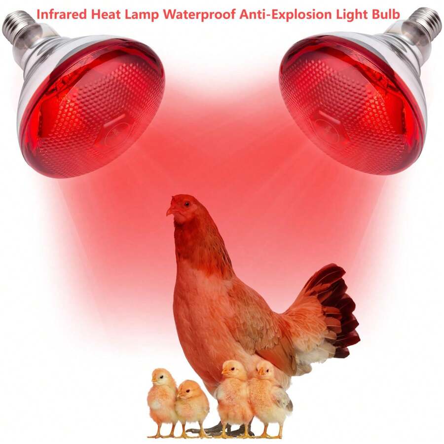 Heat Lamp For Chickens Coop Brooder And Reptile Heat Bulb 150 Watt Red ...