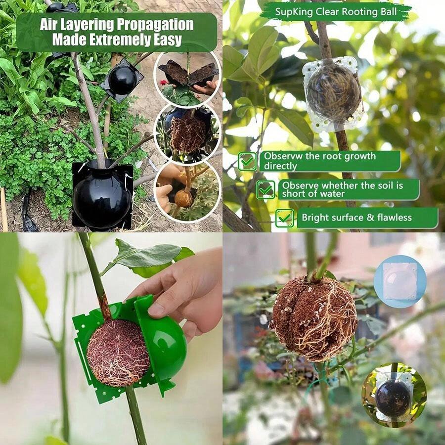 3pcs High-Pressure Plant Propagation Box, Cutting Grafting Rooting Box ...