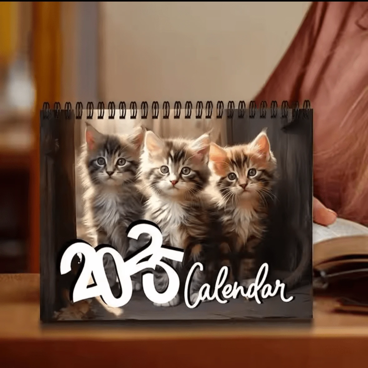 Cat Calendar 2025 Cute Kitten Monthly Wall Calendar Hangable 2025 ...