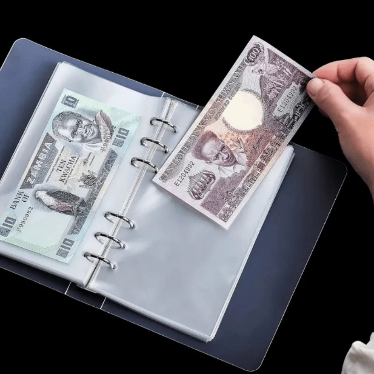 100 Pcs World Currency Collection Album, Portable Bill Holder, Dollar ...