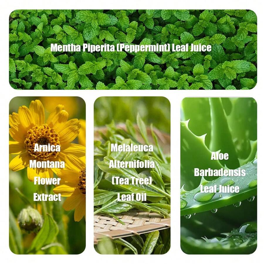 Water ice levin Mint, Tea Tree And Aloe Vera Formula Low Foot Gel ...