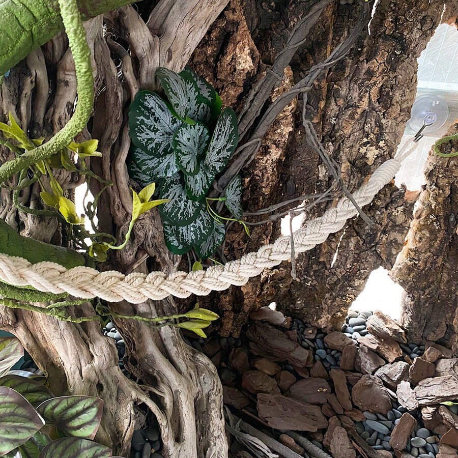 Hermit Crab Climbing Rope Ladder - Reptile & Amphibian Habitat ...