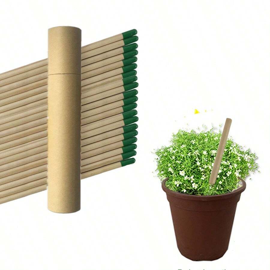 PLANT FUN 40pcs(Pack Of 20) HB Unsharpened Graphite Plantable Wooden ...