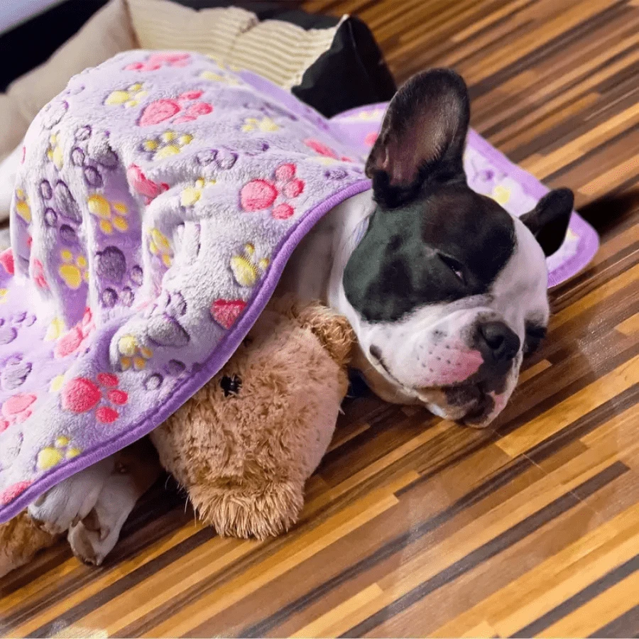 3 Blankets Super Soft Fluffy Premium Fleece Pet Blanket Flannel Throw For Dog Puppy Cat Paw ...