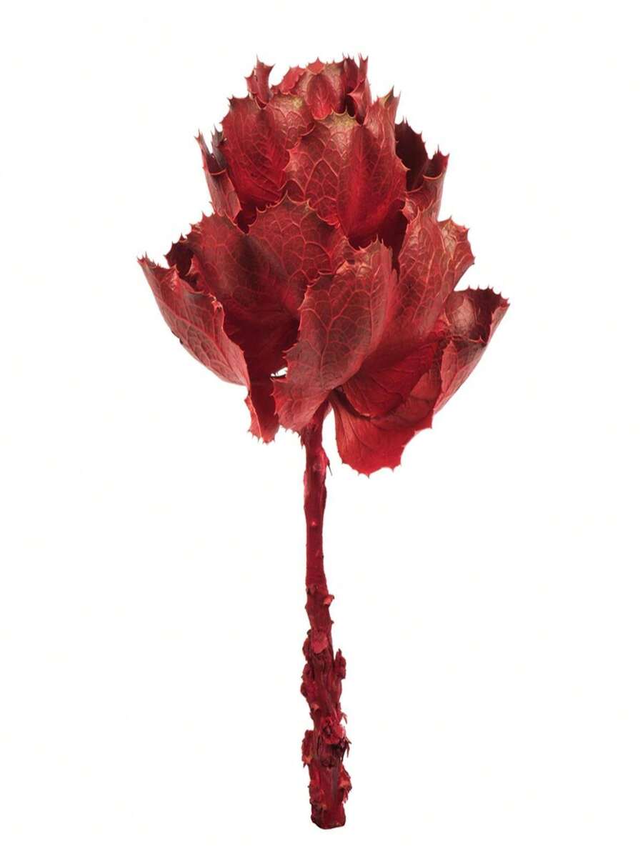 8 In. Red Queen Flower Stems | SHEIN USA