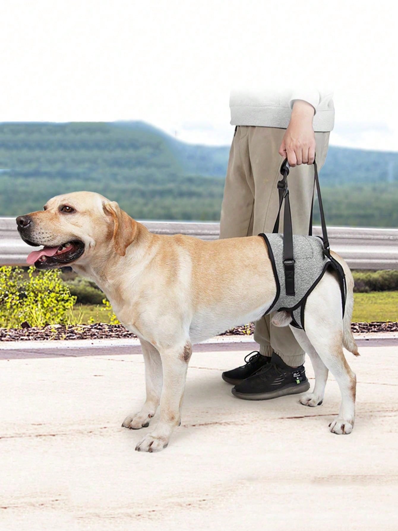 Adjustable Dog Lift Harness For Large Dogs Soft Padded Pet Rear Leg ...