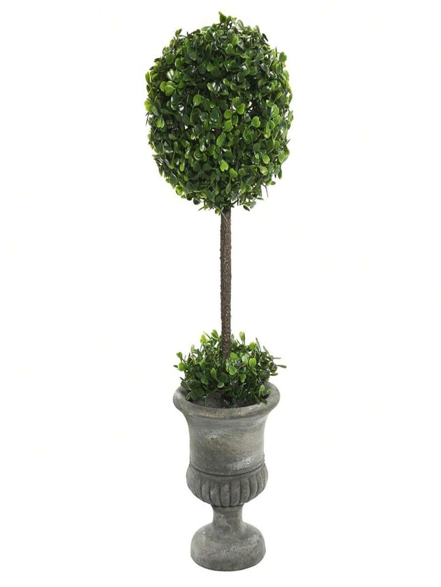 21 In. Boxwood Topiary In Container for Sale Australia| New Collection ...