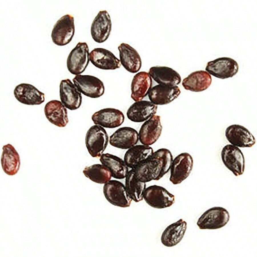 Rare Sweet Heirloom Watermelon Seeds For Planting | SHEIN USA