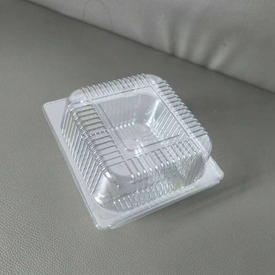 Economy Pack Transparent Plastic Square Hinged Food Container ...