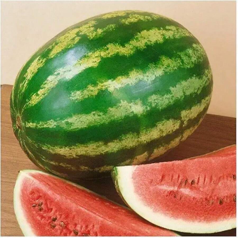 Rare Sweet Heirloom Watermelon Seeds For Planting | SHEIN South Africa