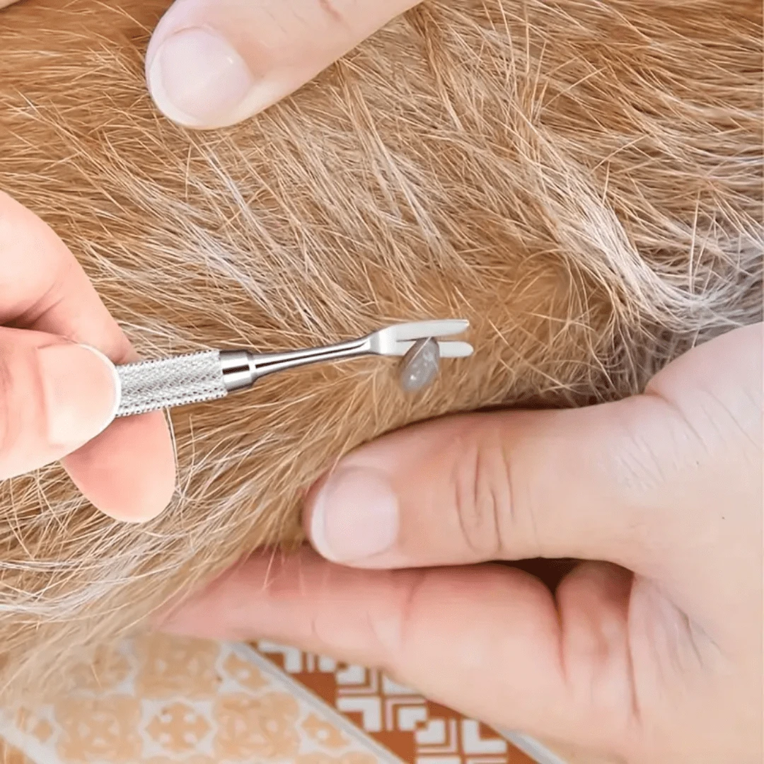 Tick Remover Kit, Stainless Steel Tick Remover Tweezers, Pet Dog Cat ...