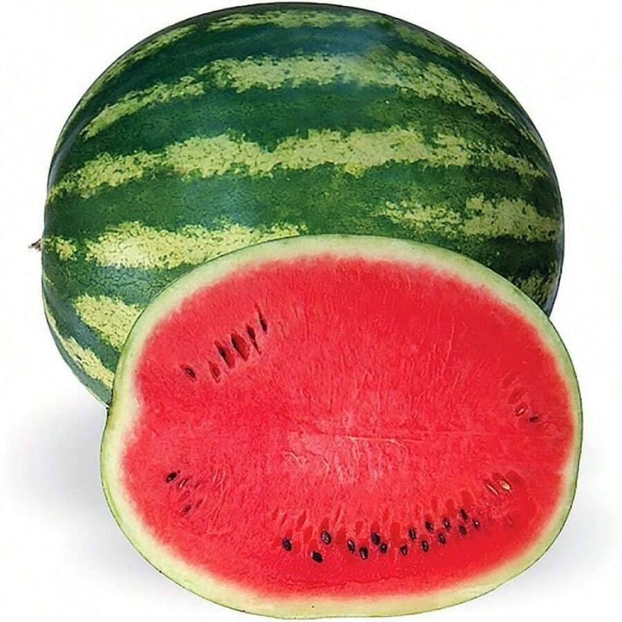 Rare Sweet Heirloom Watermelon Seeds For Planting | SHEIN South Africa