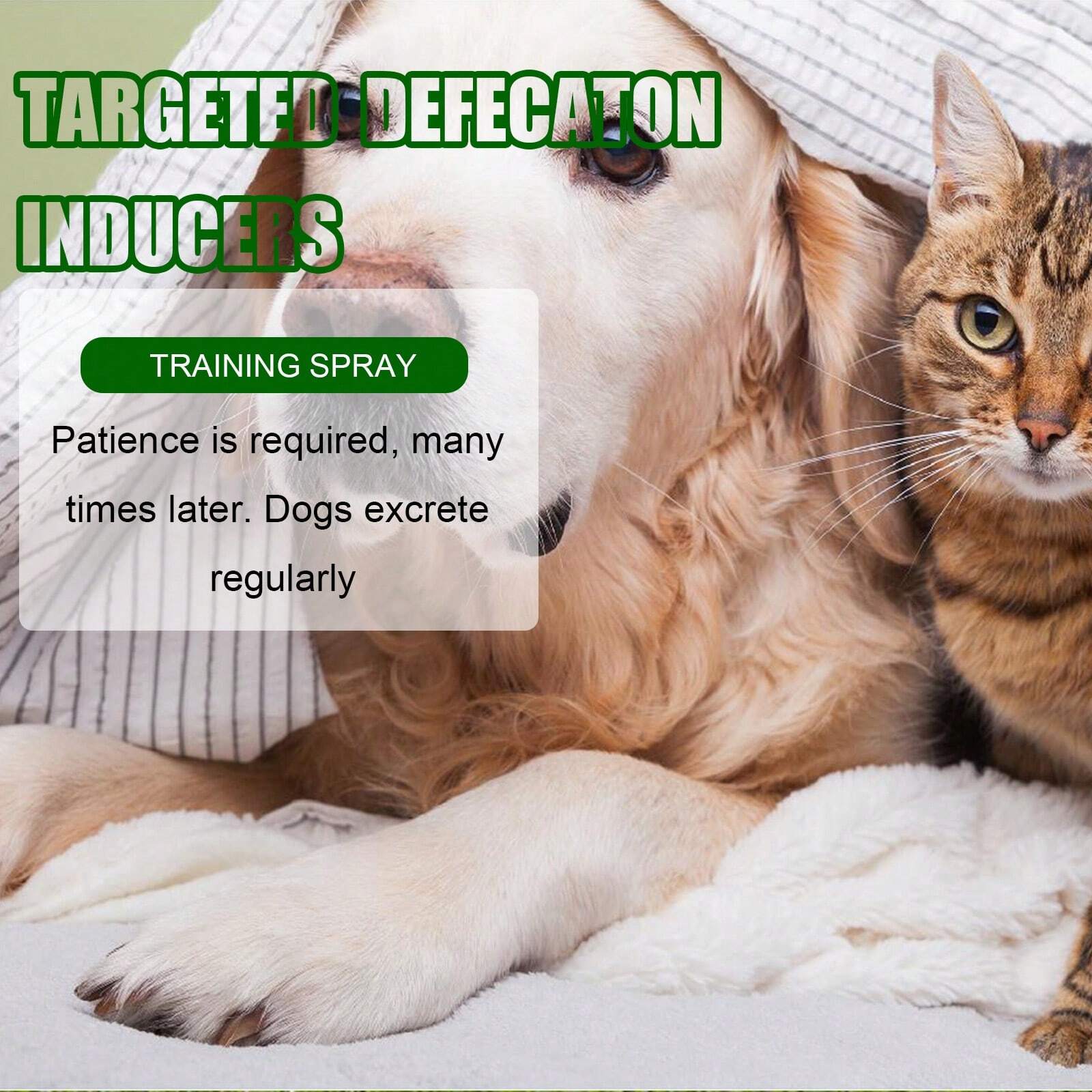 30 Ml Bottle Of Pet Cat And Dog Positioning Defecation Inducer Training ...