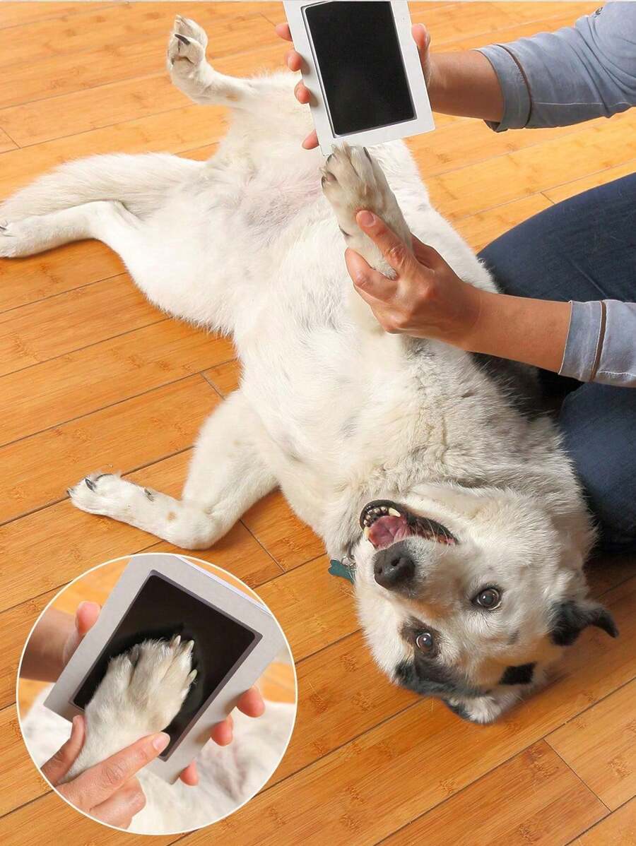 Pet Paw Print Ink Pad For Dogs And Cats, Touchless Ink Pad Pet ...