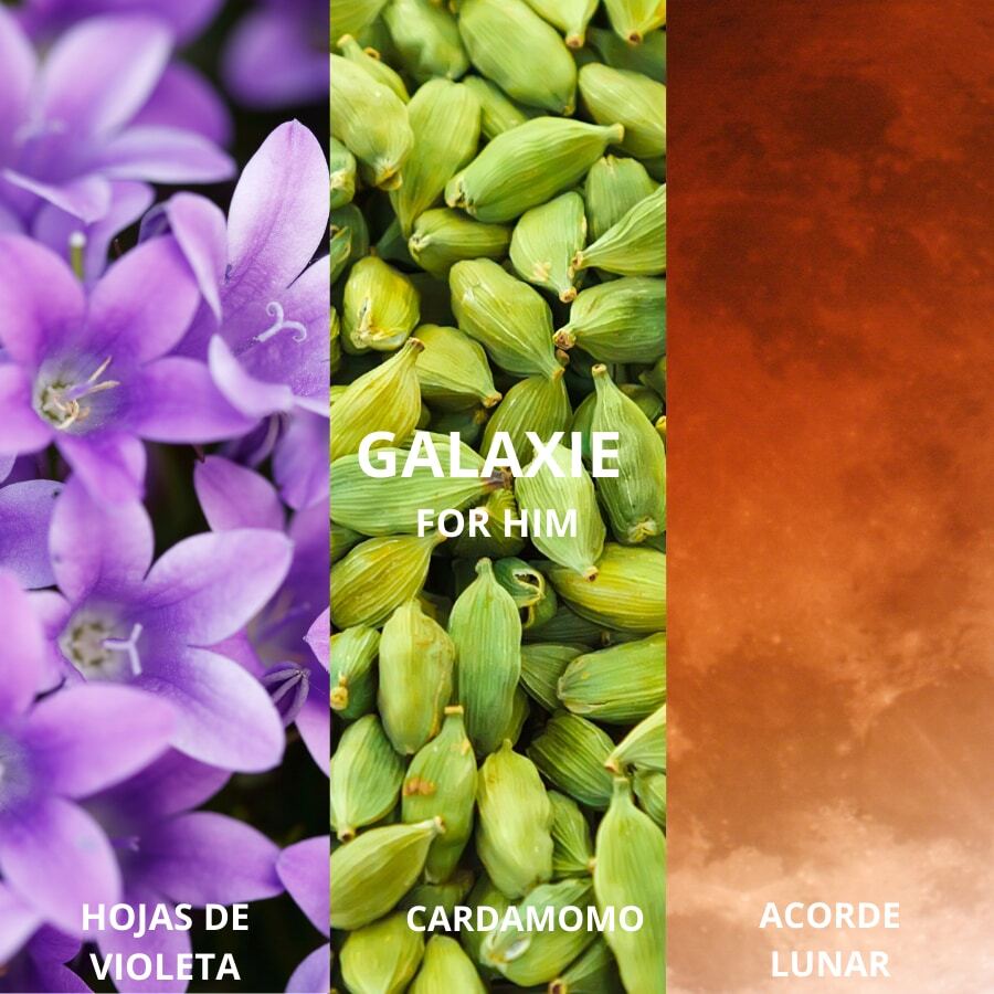 Jafra Galaxie By JAFRA For Him Eau De Toilette For Men | SHEIN USA