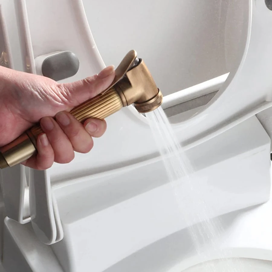 Dhamma Hand Held Bidet Sprayer Douche Kit Toilet Bidet Faucets Antique ...