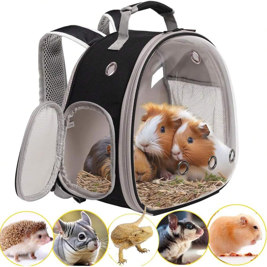 Guinea Pig Backpack Carrier, Bearded Dragon Carrier Backpack With Clear ...