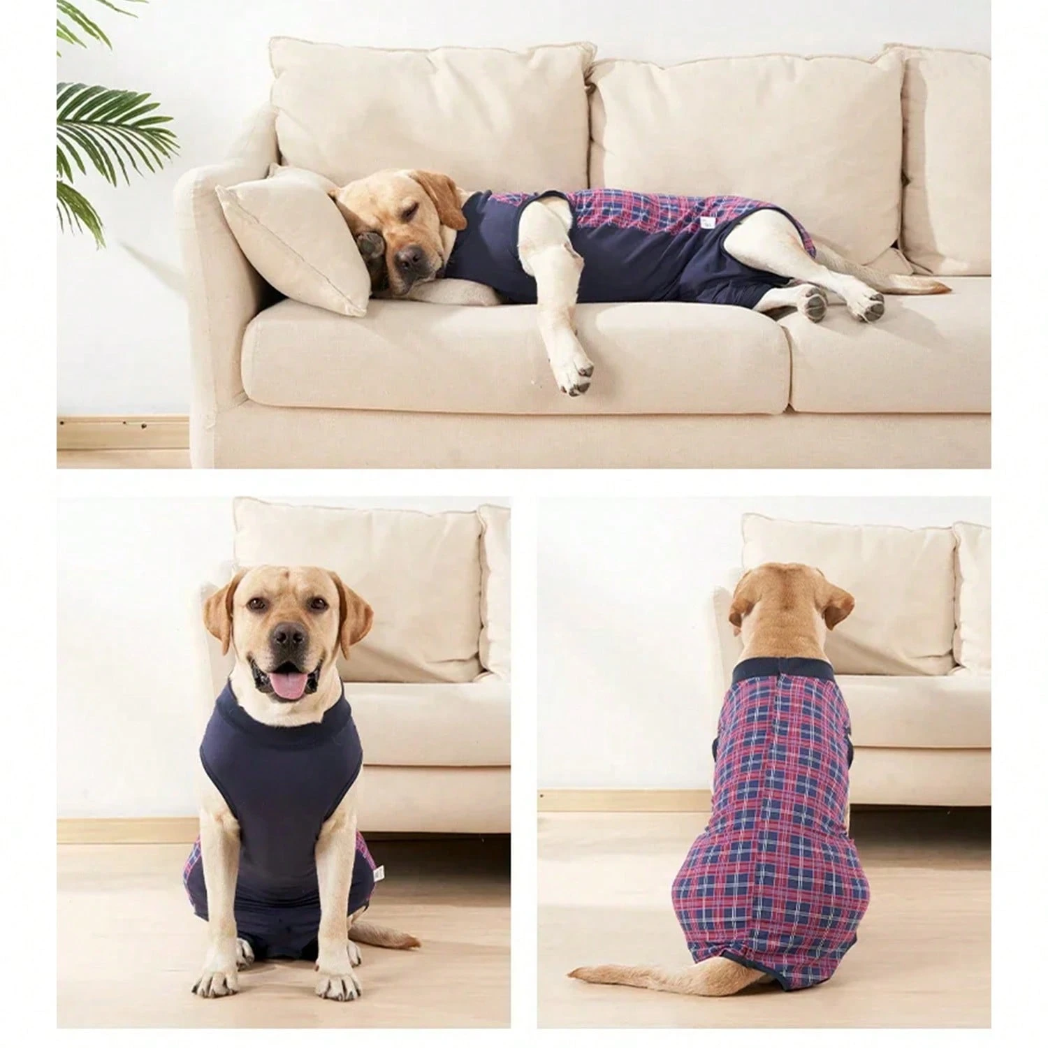 Dog Surgery Recovery Suit, Anti Licking Pet Surgical Suit For Dogs Male ...