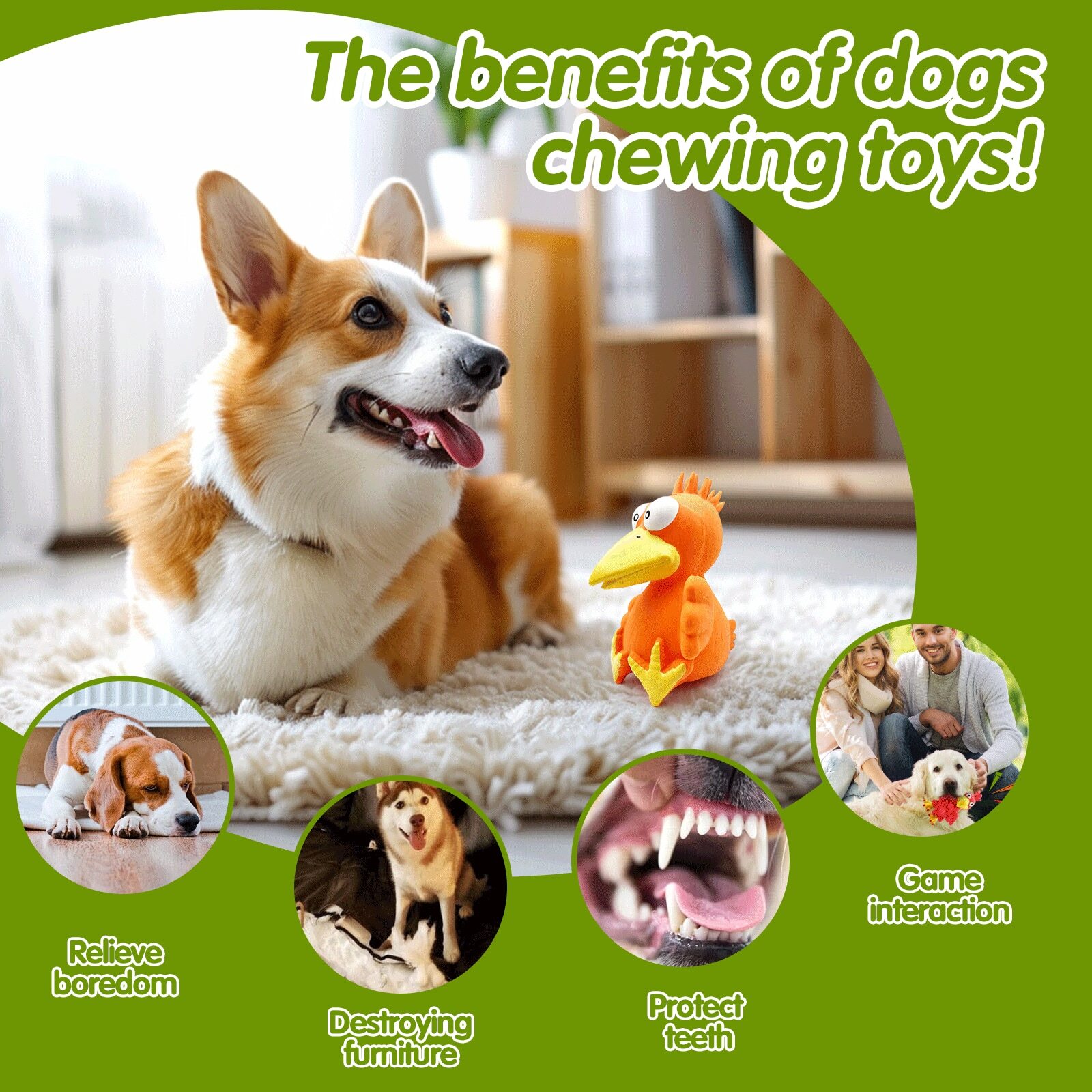 A Pet Chew Squeaking Toy Designed By A Woodpecker, An Interactive Toy ...