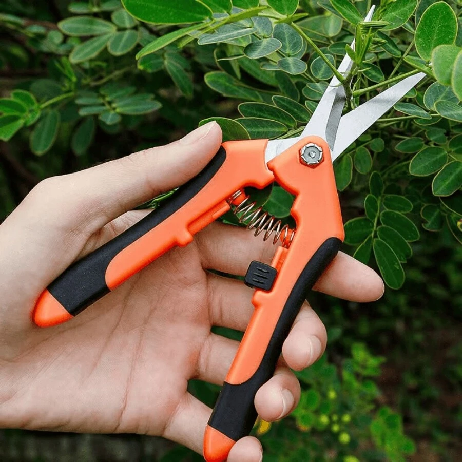 Stainless Steel Fruit Picking Scissors Thin Fruit Cutting Grape Cutting ...