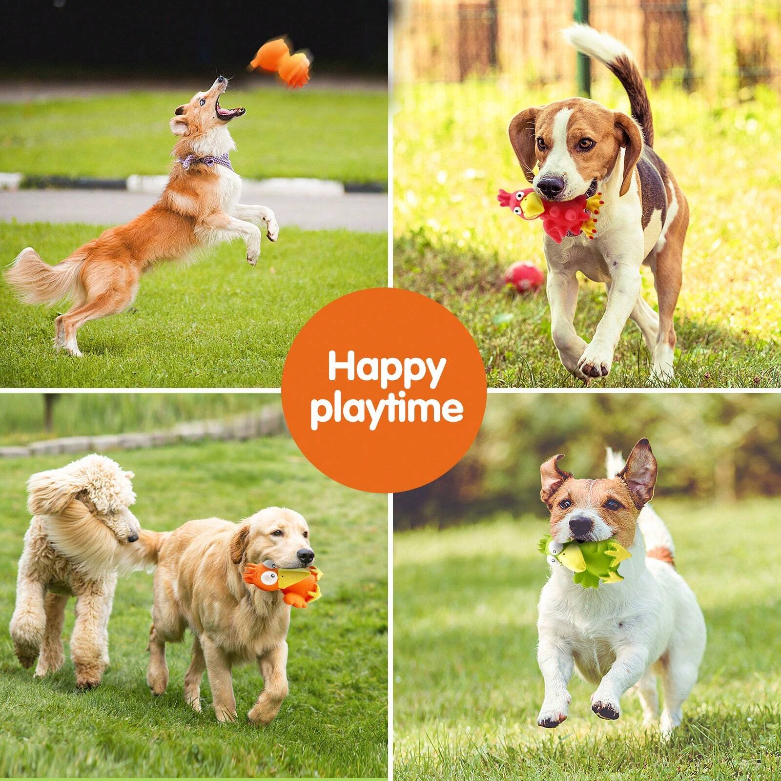 A Pet Chew Squeaking Toy Designed By A Woodpecker, An Interactive Toy ...