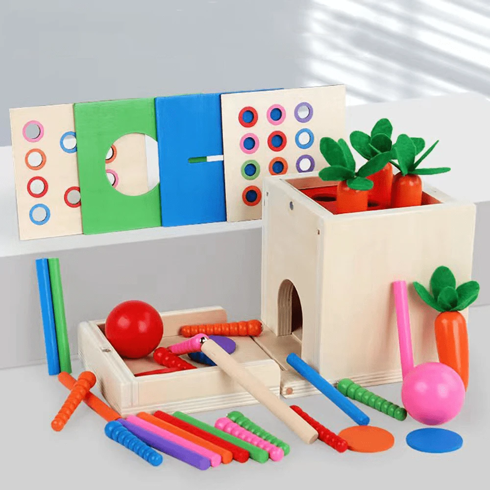 Wooden Toy Set With Various Shape Matching, Coin Tossing, Carrot ...
