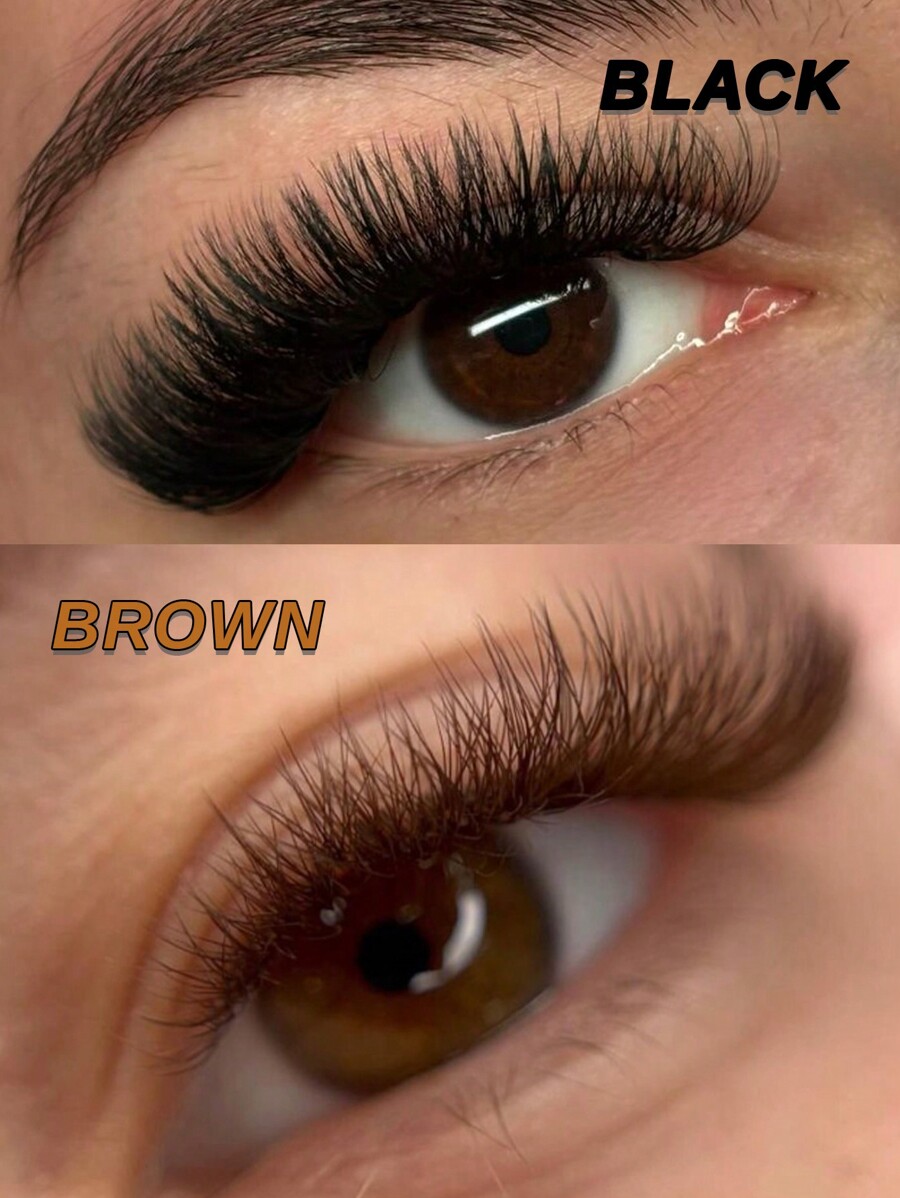 ARTSTAR Curvature C/D 500 Fans Brown Color Premade Fans Lashes 12D/14D ...