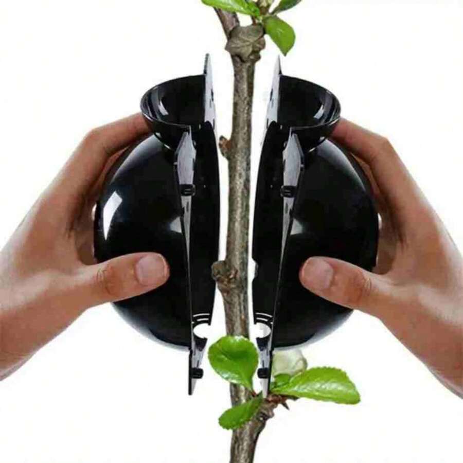 6pcs High-Quality High-Pressure Plant Rooting Device - Propagation ...