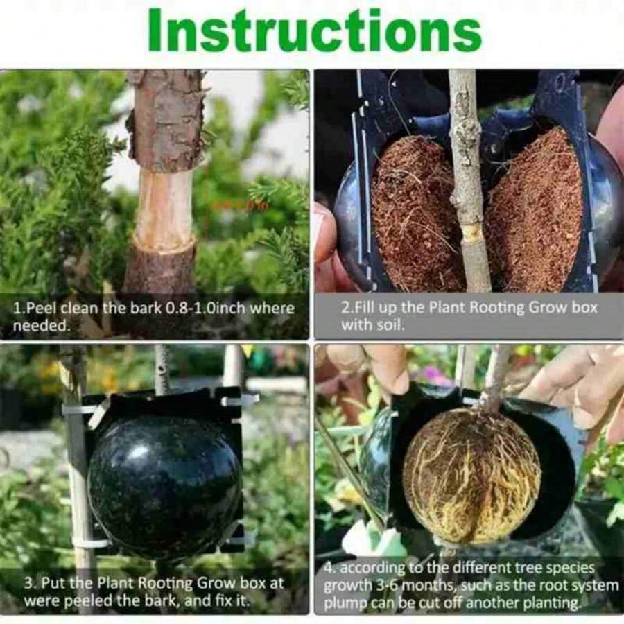 6pcs High-Quality High-Pressure Plant Rooting Device - Propagation ...
