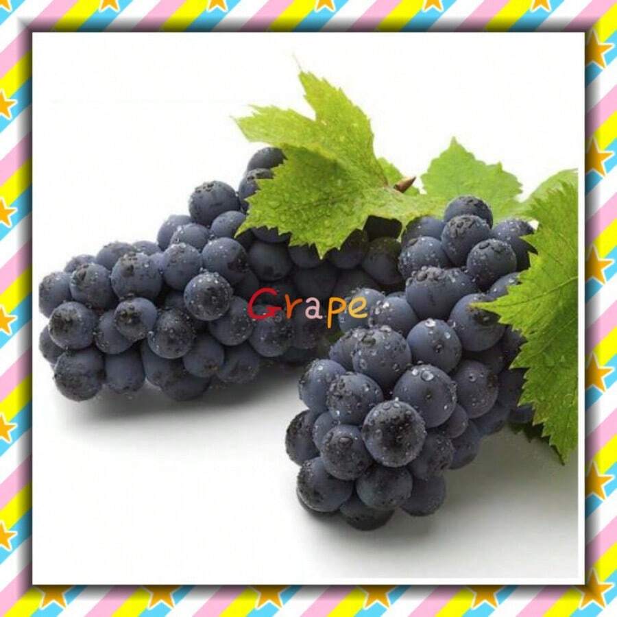 10Pcs Grape Vine Organic Sweet Fruit Seed Succulent Plants Indoor ...