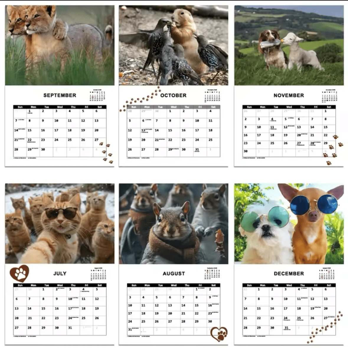 Funny Dogs Pooping Wall Calendar 2025 Unique Calendar Gift For Friends ...