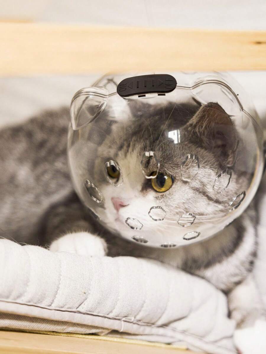 Cat Astronaut Head Cover, Anti-Bite Mouth Mask, Breathable Cat Head ...